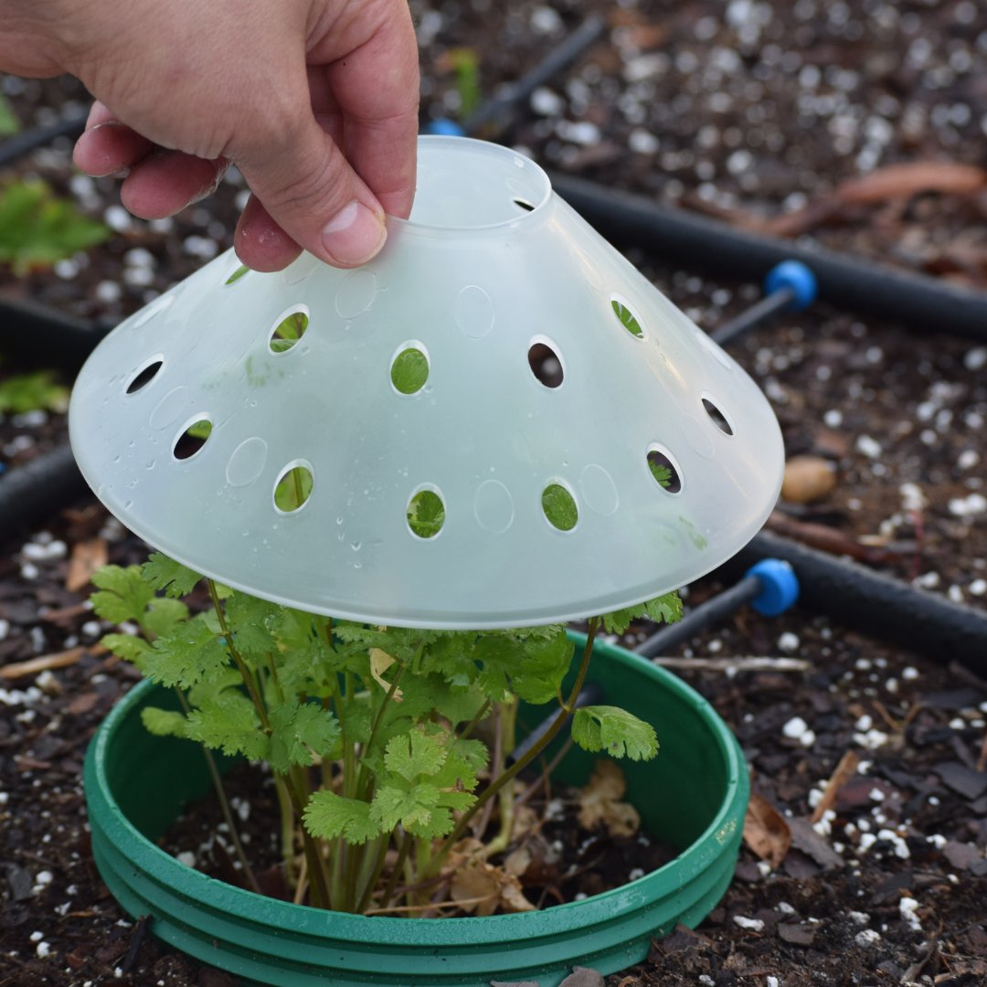 Germination Kits – Rooted Promise