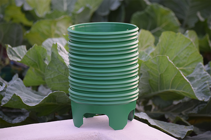 Grow Rings, 7 inches, Green - 6 Pack – Rooted Promise