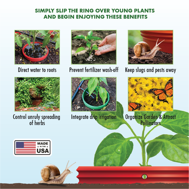 Grow Rings, 7 inches, Green - 6 Pack – Rooted Promise