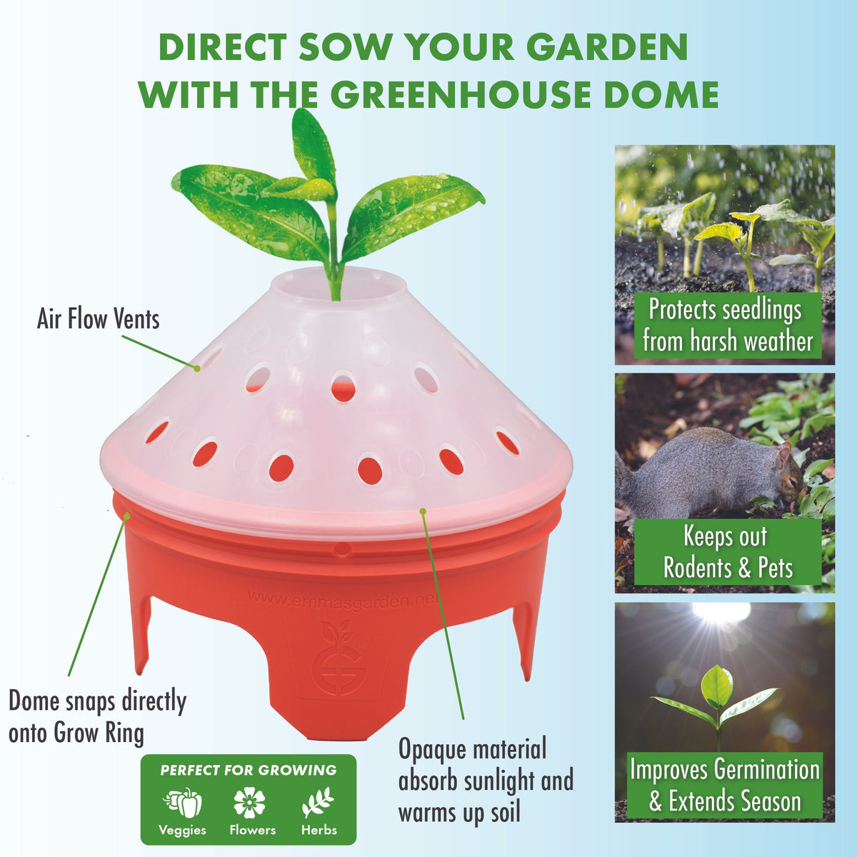 Kids Outdoor Butterfly Garden Kit – Rooted Promise