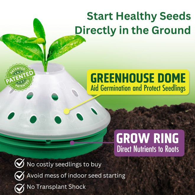 Germination Kit - 4 Pack - Green – Rooted Promise